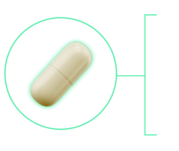 SuperBonsai - SuperHuman Alcohol Recovery